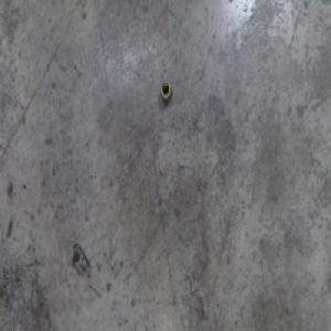 Object Detection on Runway Object Detection Dataset (v1, 2023-09-16 8:16pm) by objectdetection