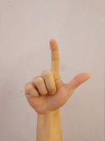 ASL Alphabet Dataset Object Detection Dataset and Pre-Trained Model by ASL Dataset