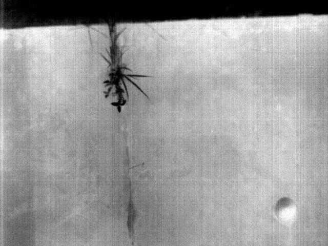 Crack Detection Object Detection Dataset By Wall