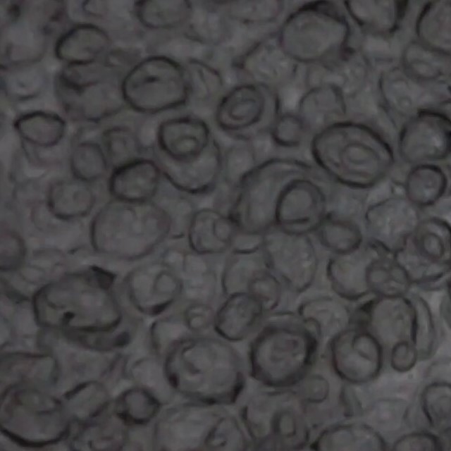 Bubbles_Segmentation_YOLOv8_oct Instance Segmentation Dataset and Pre-Trained Model by Bubbles