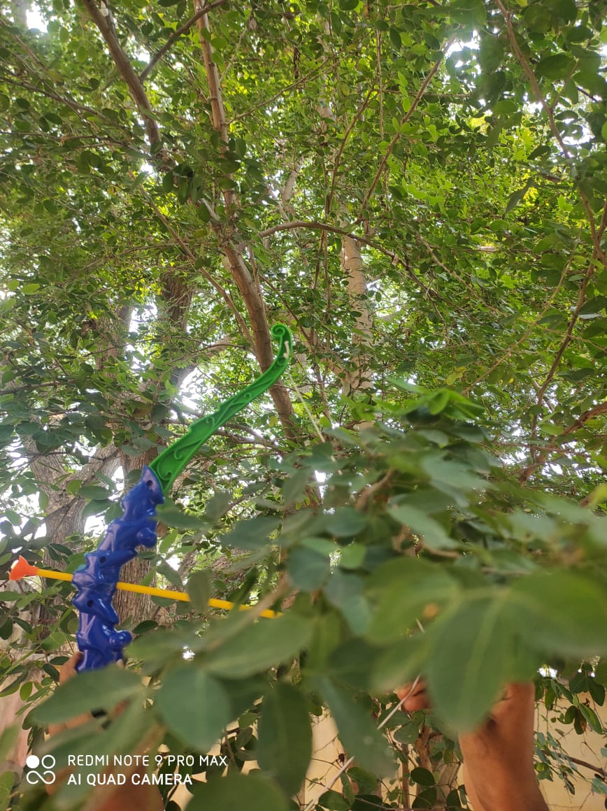 Wildlife And Weapon Detection Object Detection Dataset And Pre Trained