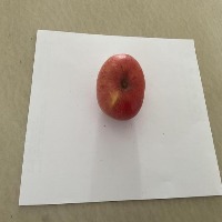 Rotten apples detection Classification Dataset and Pre-Trained Model by ...