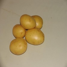 Potato Object Detection Dataset by Vegetable