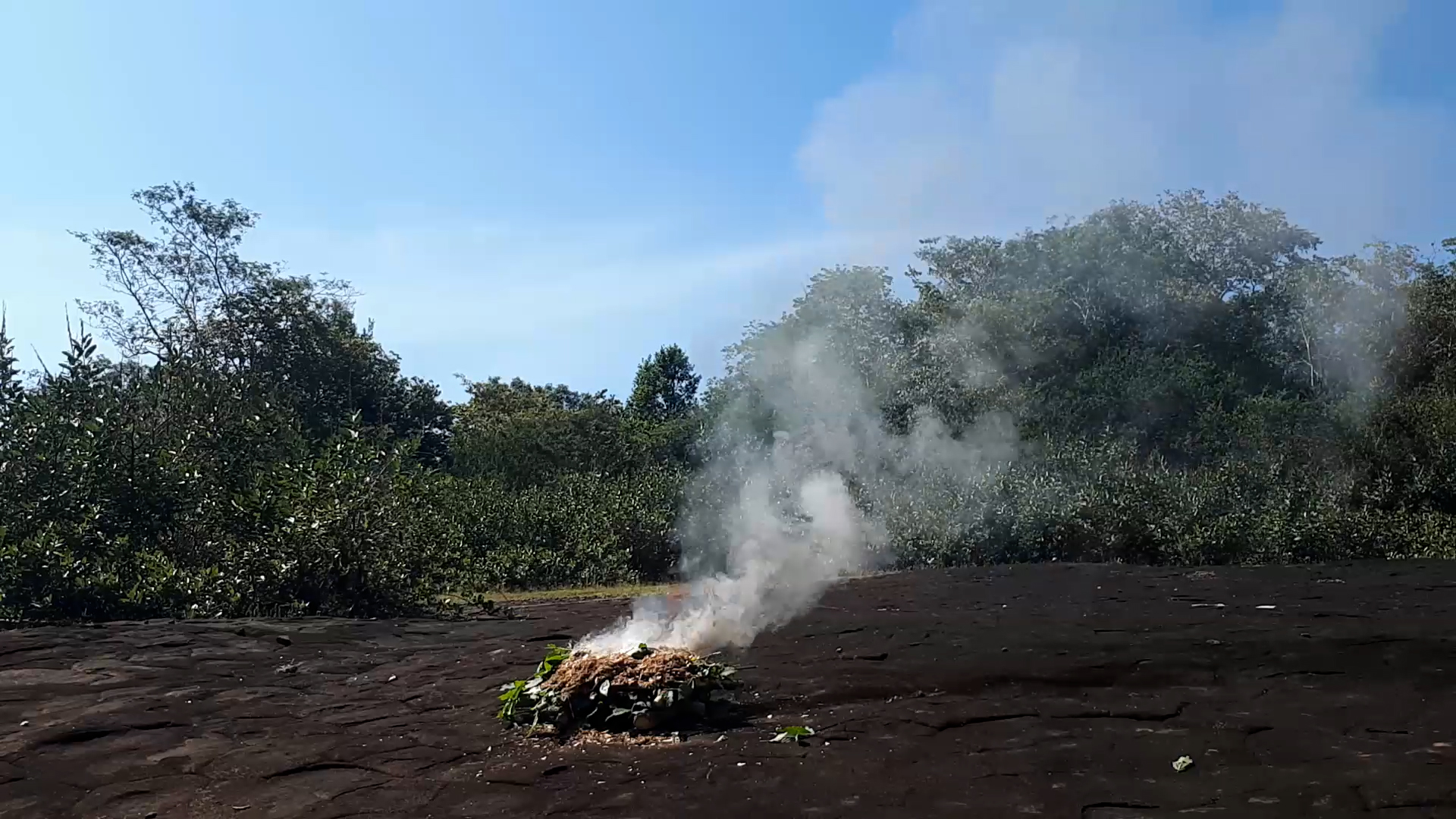 Fire Detect Object Detection Dataset By Hungwoonpyo