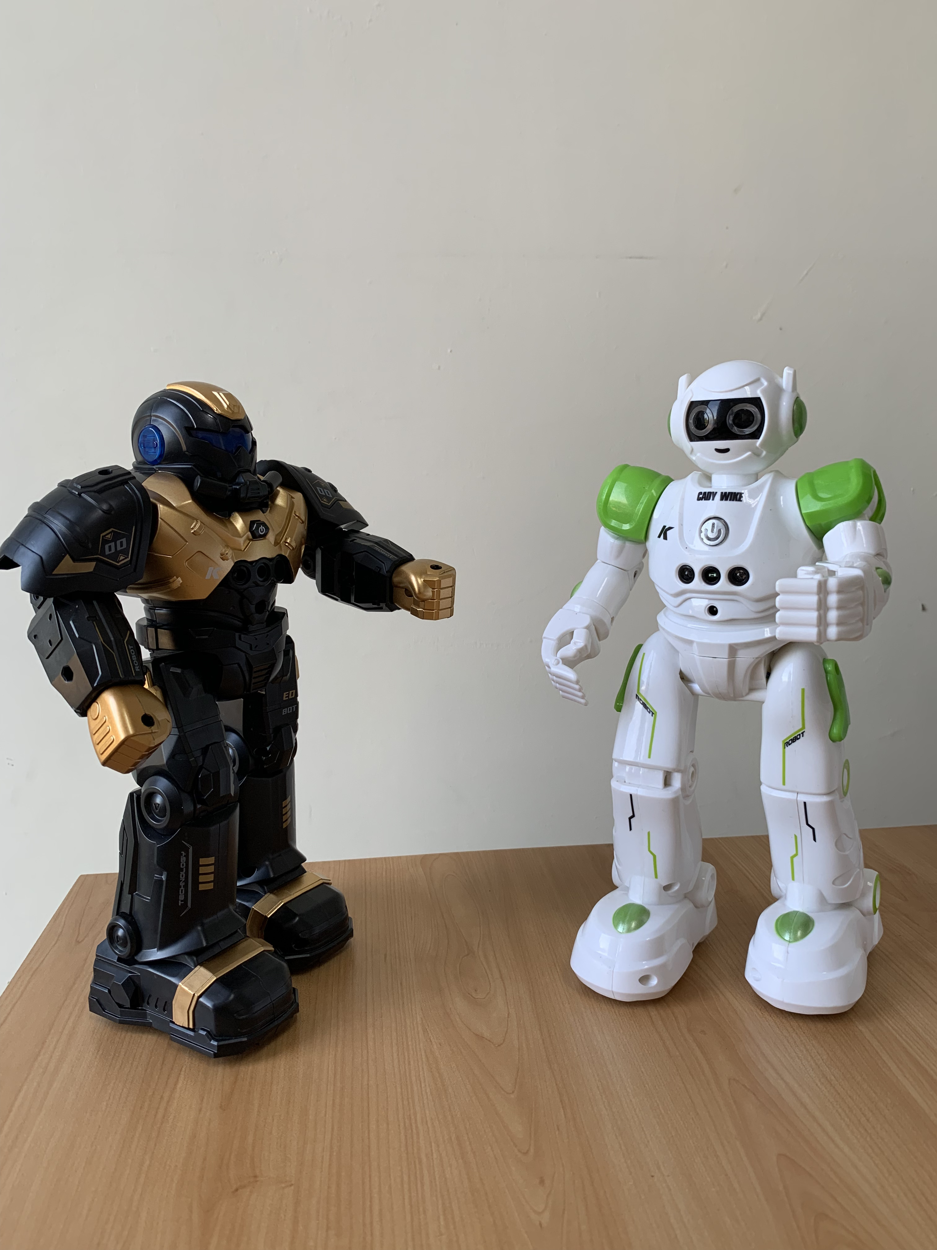 Dataset Robot V1 Object Detection Dataset By Pkm