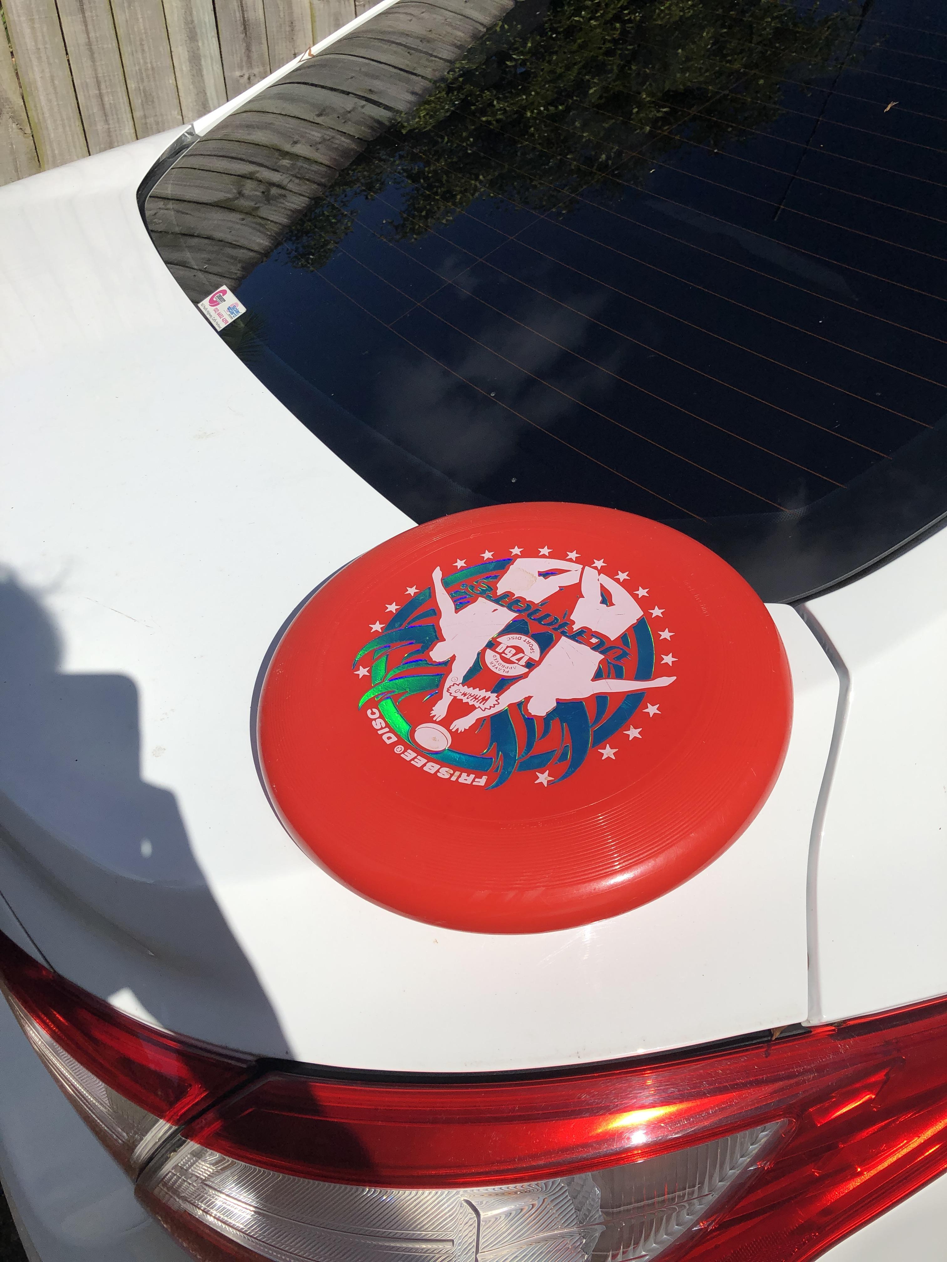 ultimate frisbee disc detector Object Detection Dataset and Pre-Trained ...