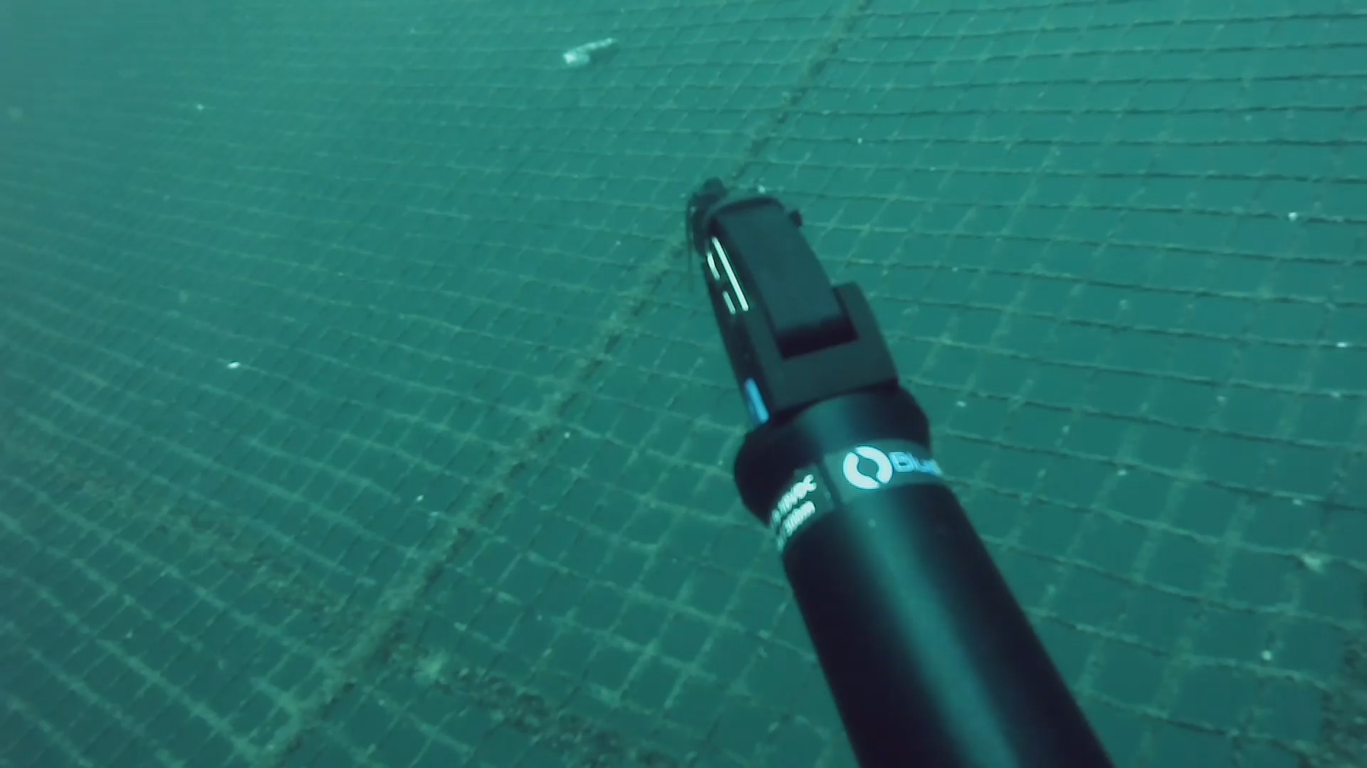 Dead Fish Detection Object Detection Dataset and Pre-Trained Model by ...