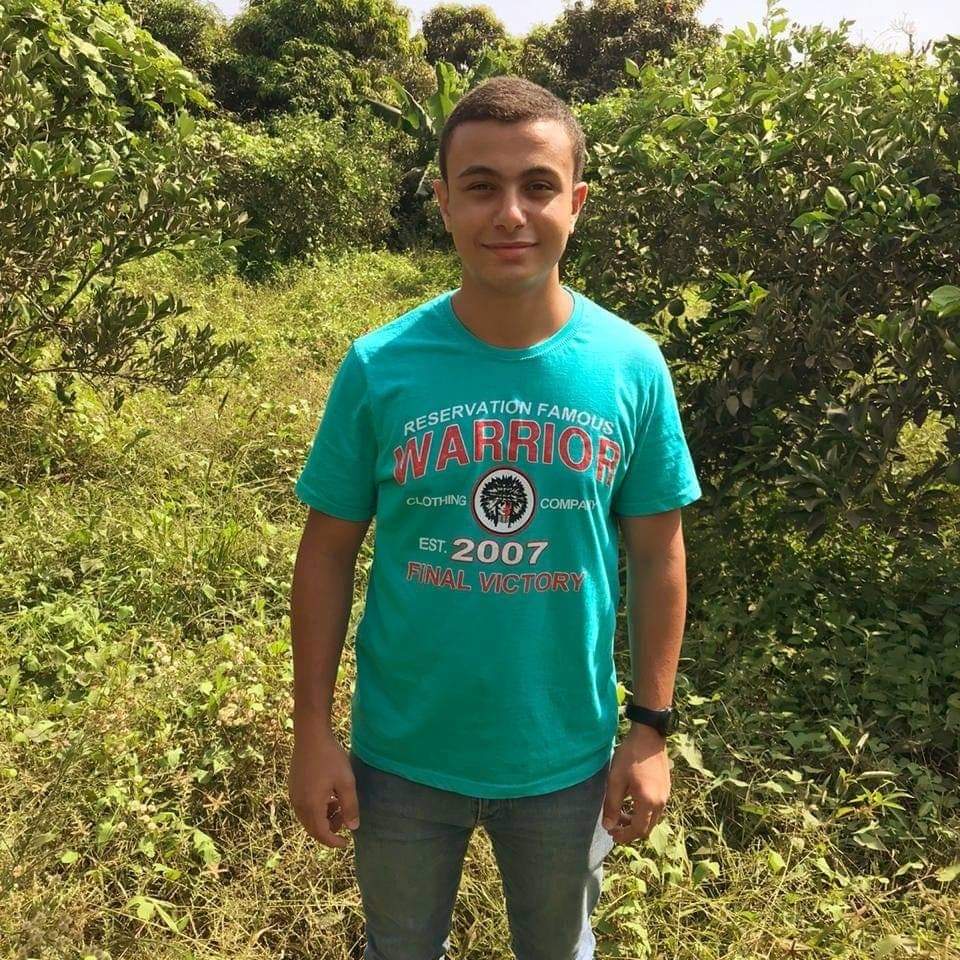 Object Detection Object Detection Dataset By Omarfadel