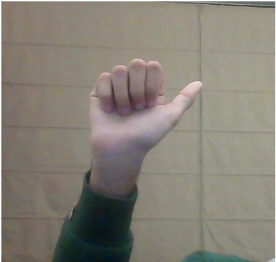 SSD_hands Object Detection Dataset by ObjectDetection