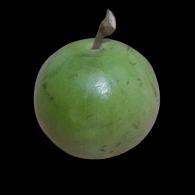 Vú Sữa Xanh Object Detection Dataset And Pre Trained Model By Data