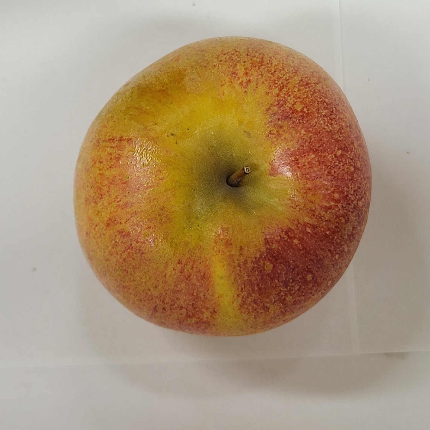 Apple HGJT Object Detection Dataset by Apple