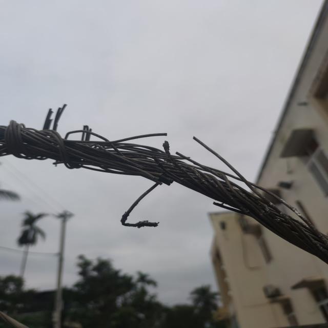 ddan_tran_tt_tua_ Object Detection Dataset by QNaPCvGD1