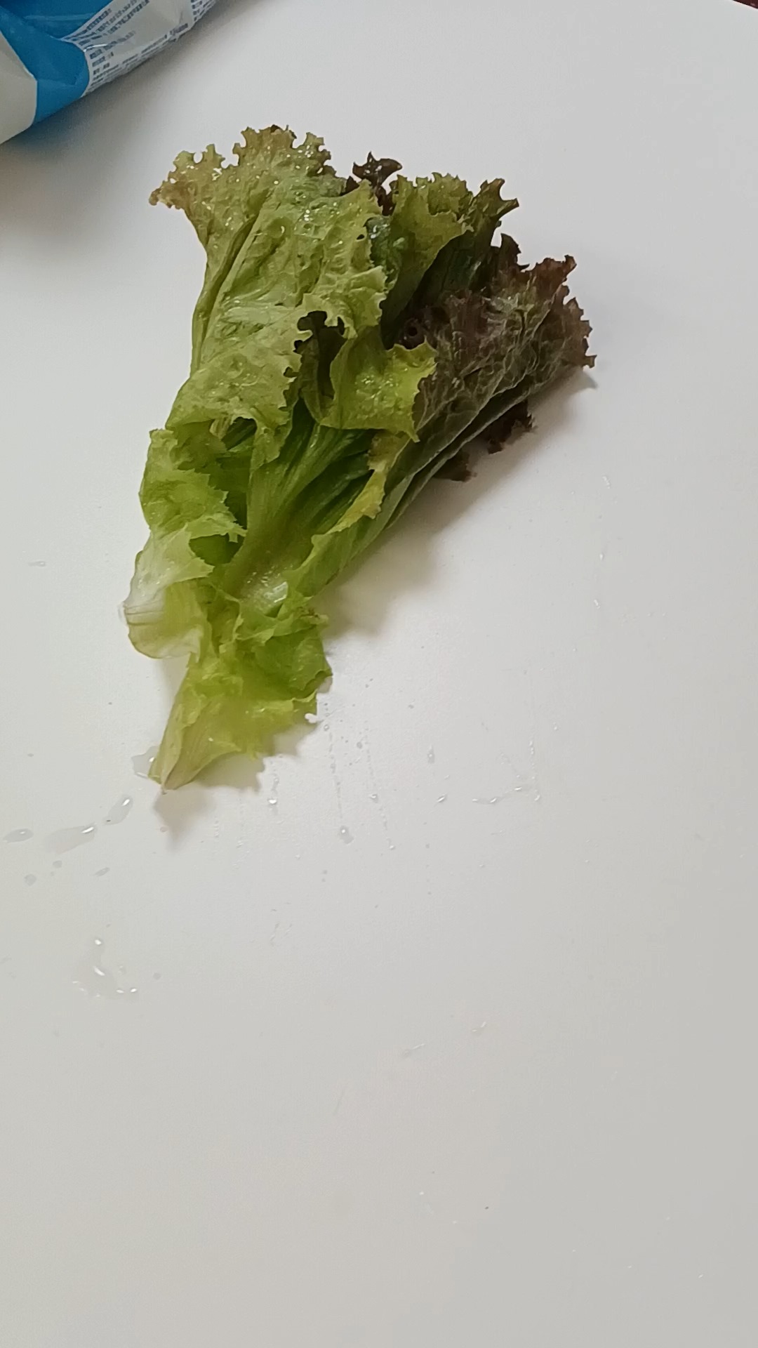 Lettuce Object Detection Dataset and Pre-Trained Model by Object Detection Class