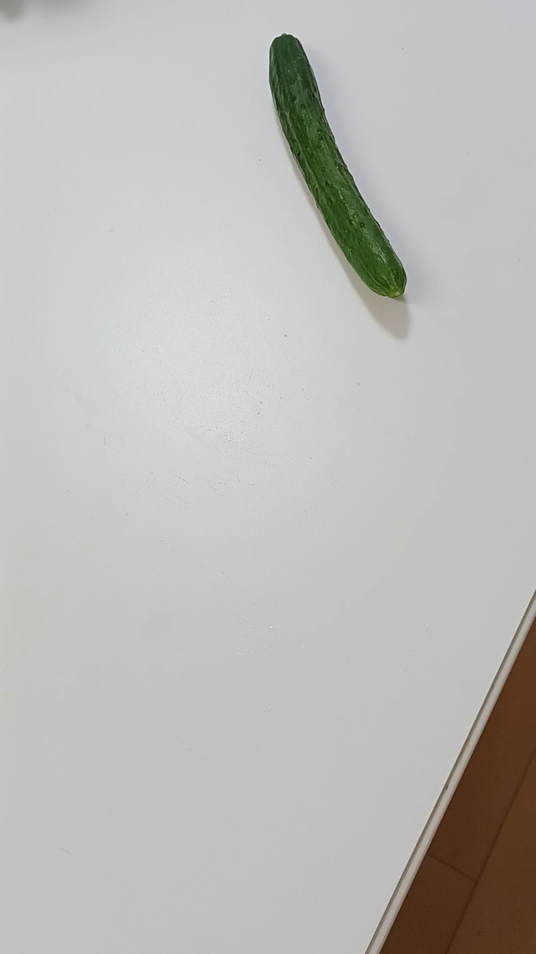 Cucumber Object Detection Dataset And Pre Trained Model By Object Detection Class