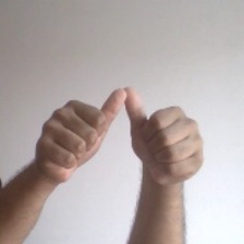 sign language Object Detection Dataset by Sudhanva Rajesh