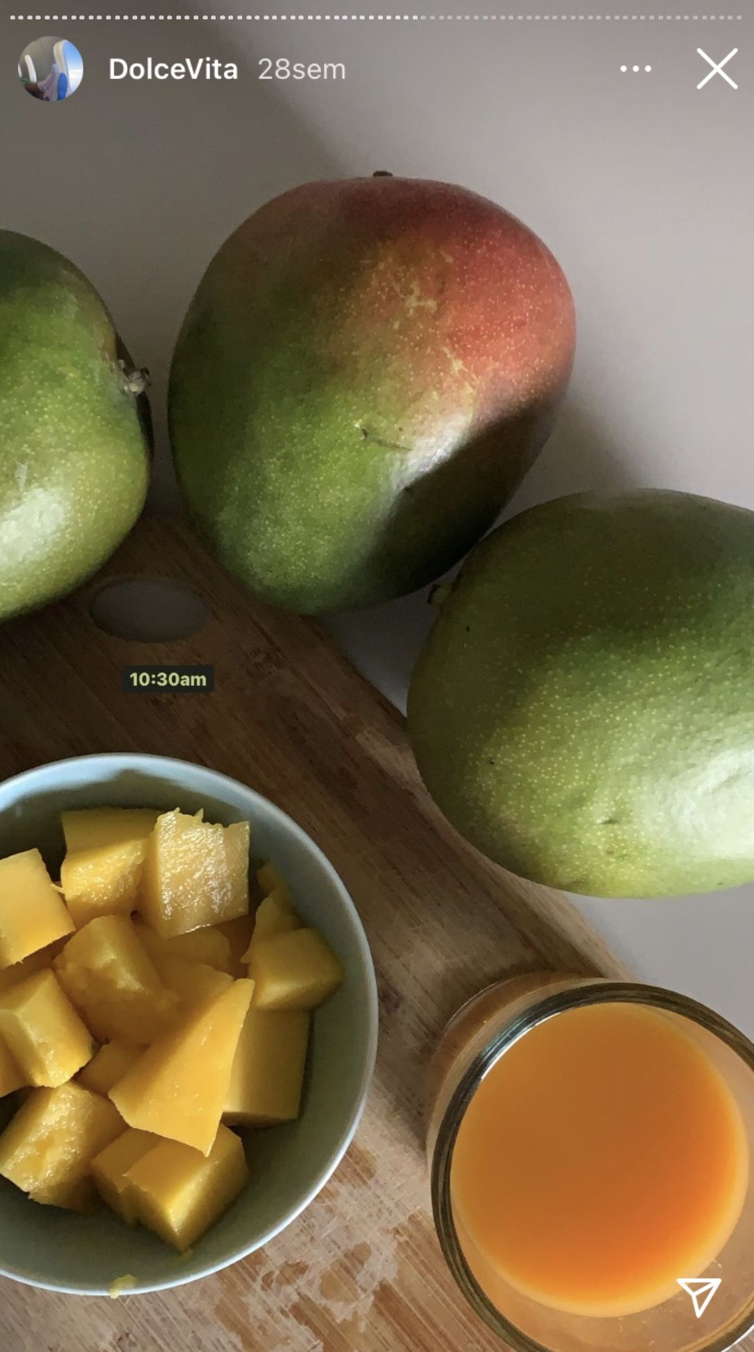 Mango Object Detection Dataset By Project Opvke