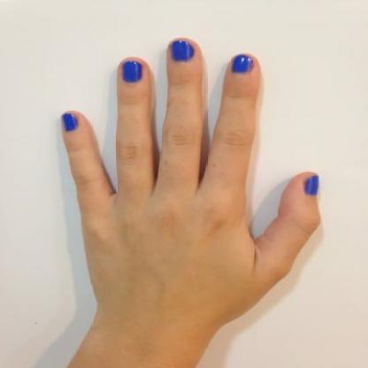 best_palm Object Detection Dataset by DT