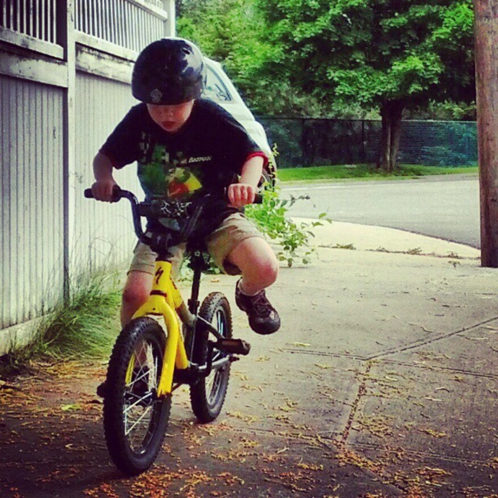 bicycle Object Detection Dataset by Class Experiment