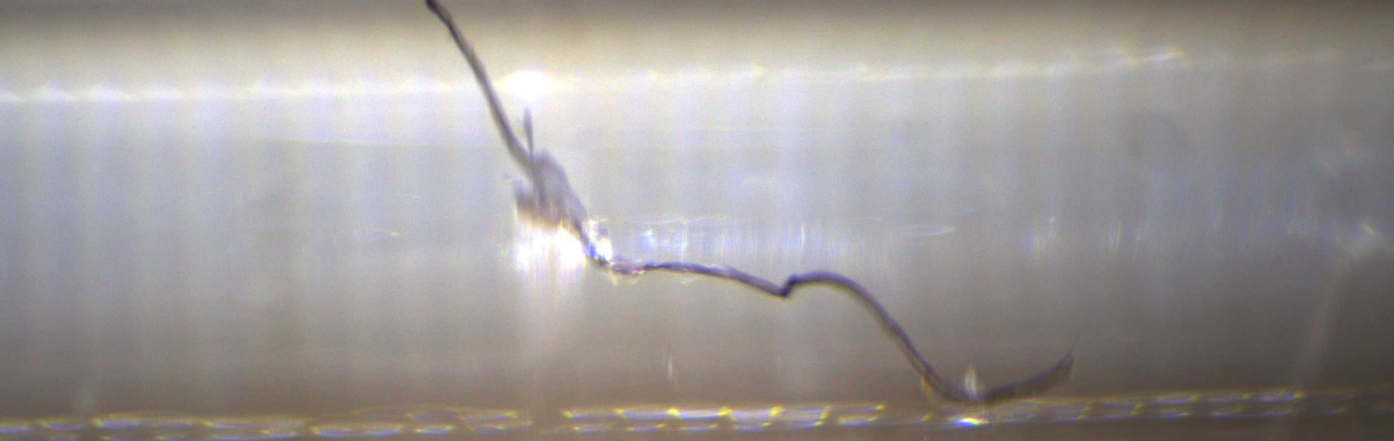 All Plastic Object Detection Dataset And Pre Trained Model By University