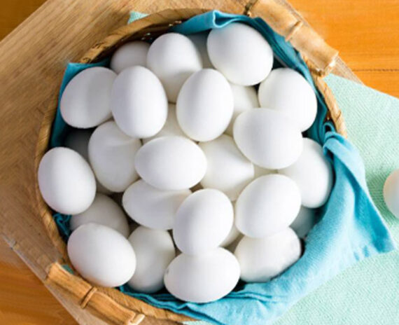 Egg Test2 Object Detection Dataset By Rajat