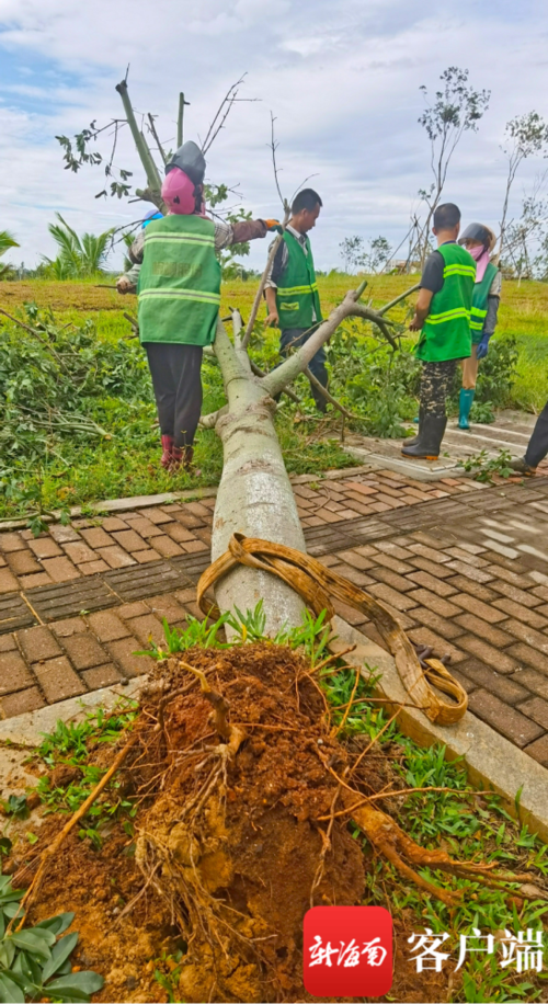 Fallen Trees Baidu600 Object Detection Dataset V6 2022 07 18 3 40pm By Object Detection