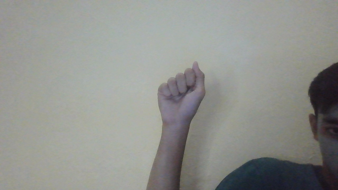 Sibi Sign Languange Object Detection Dataset and Pre-Trained Model by Universitas Teknologi ...