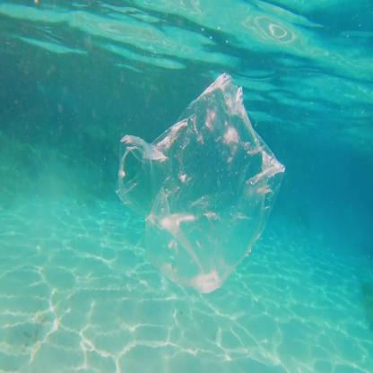 plastic waste management Object Detection Dataset and Pre-Trained Model ...