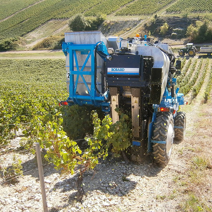 Yineyard Object Detection Dataset and Pre-Trained Model by Vineyard