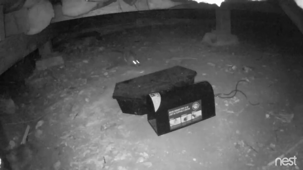 Mouse Finder Object Detection Dataset and Pre-Trained Model by Yolo test