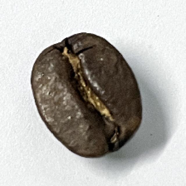 coffee_detection Object Detection Dataset by schoolcha