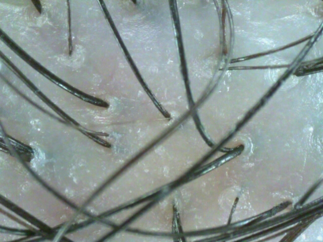 0 Object Detection Dataset And Pre Trained Model By Ewha Womans University