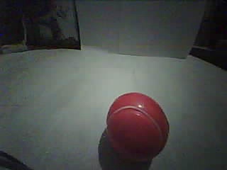 Balls Object Detection Dataset by moses