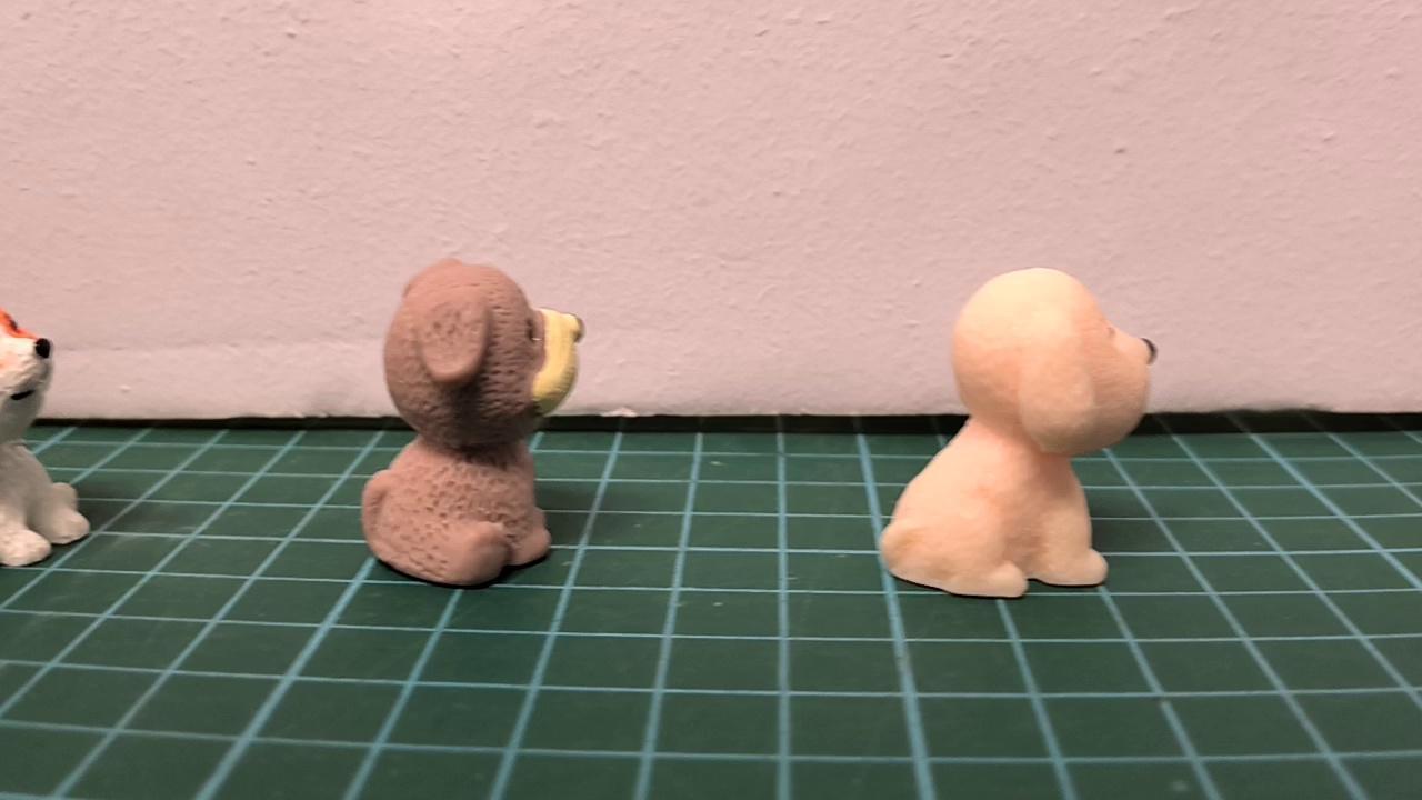 Human and Pets Object Detection Dataset by Human and Pets