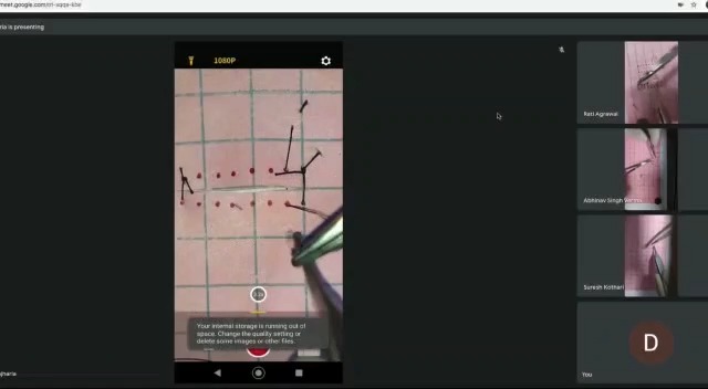 stichis_final Instance Segmentation Dataset by LJIET