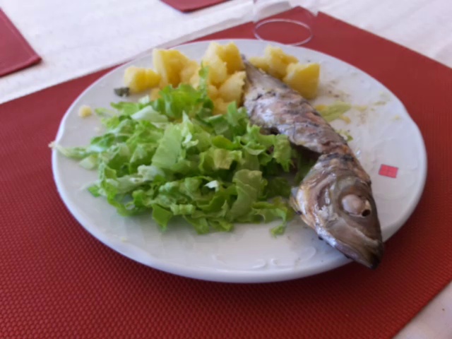 UBEAT SEG Instance Segmentation Dataset and Pre-Trained Model by UBEAT