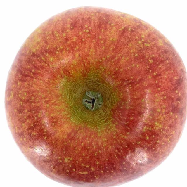 Manzanas Object Detection Dataset by Universidad Cooperativa de Colombia