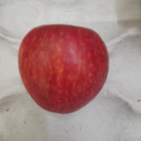 Fruits Detection and Quality Analysis Object Detection Dataset and Pre-Trained Model by ...