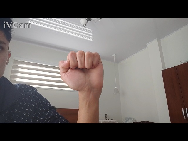 Lenguaje De Señas Object Detection Dataset V1 Primerpueba By Sign Languaje