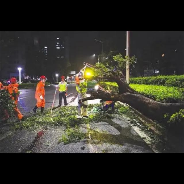 Branch Object Detection Dataset by ahmdirfnz