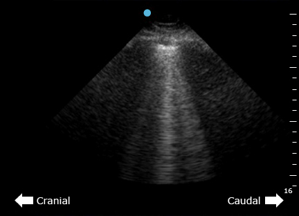 B-LINES Object Detection Dataset by joshua