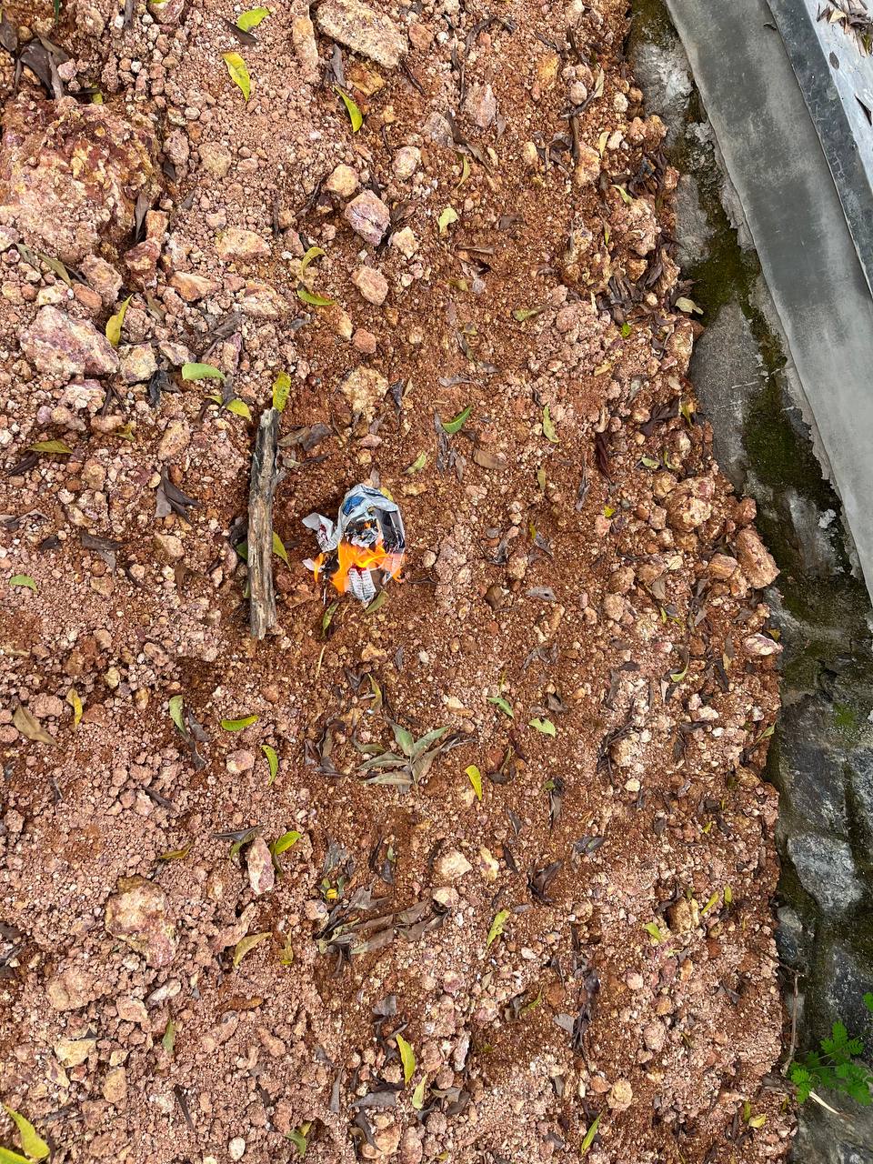 How to Use the Fire Detection - Mechatronics System Design 2 Object Detection API