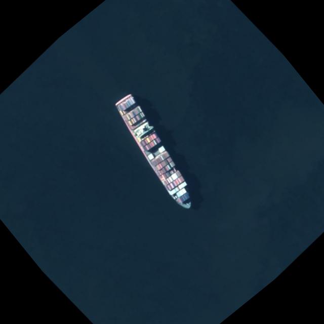 How to Use the container Object Detection API