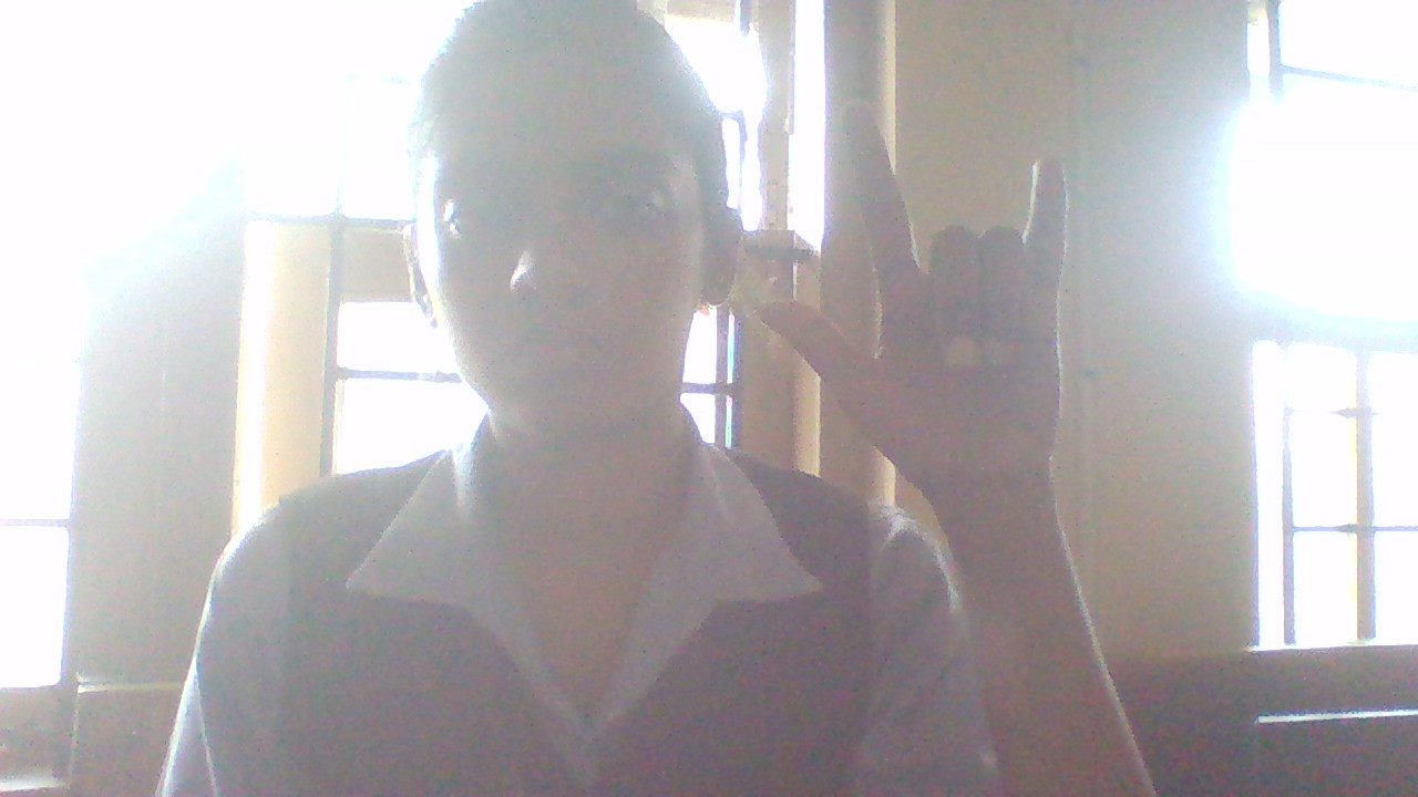 hand sign Object Detection Dataset by work