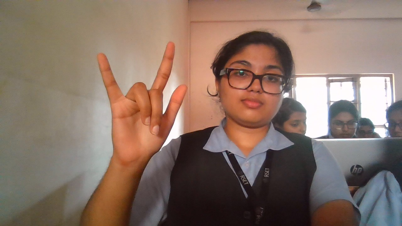 Hand Sign Object Detection Dataset By Work