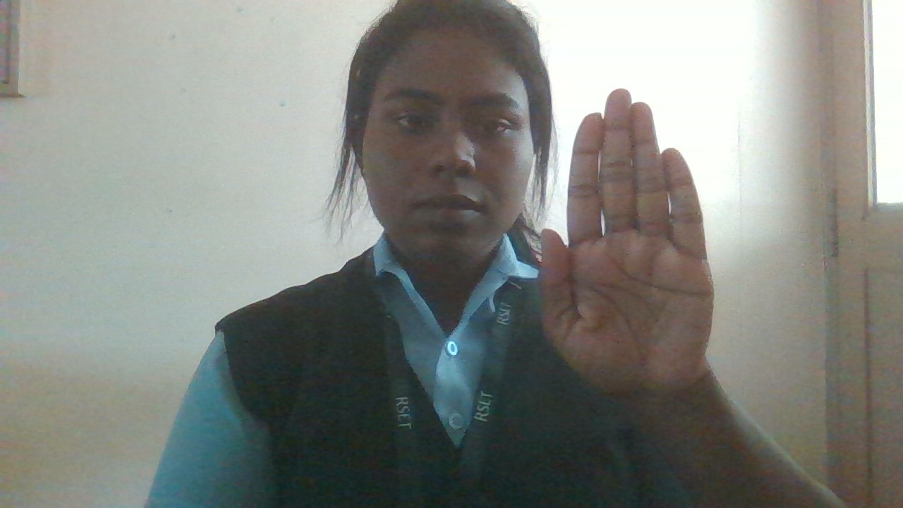 Hand Sign Object Detection Dataset By Work