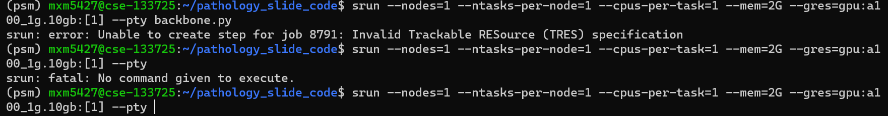 text Instance Segmentation Dataset by a
