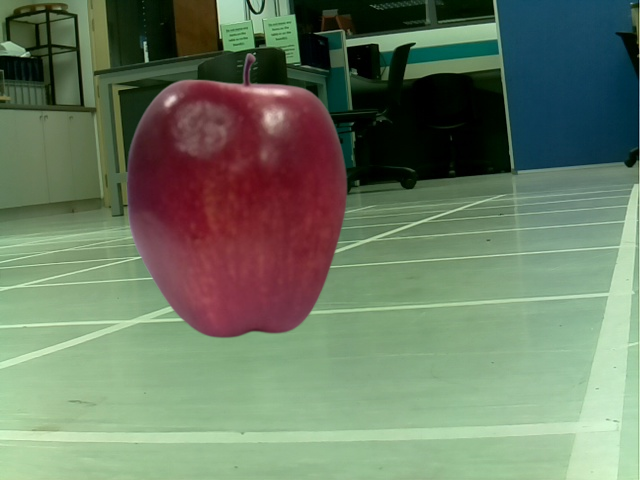 Yolov5 Object Detection Dataset by Monash