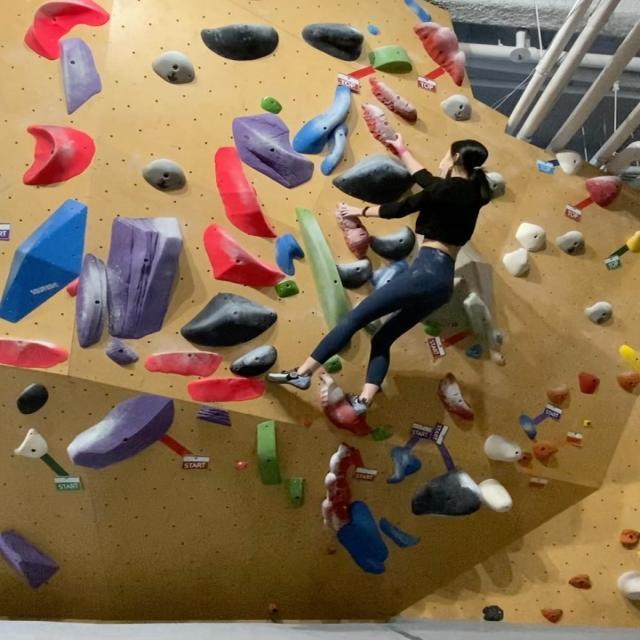 Rock-Climbing-Hold-Detection Object Detection Dataset by GDSCMoonless