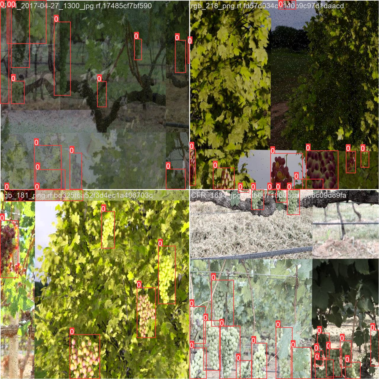 How to Use the modelli_progetto Object Detection API