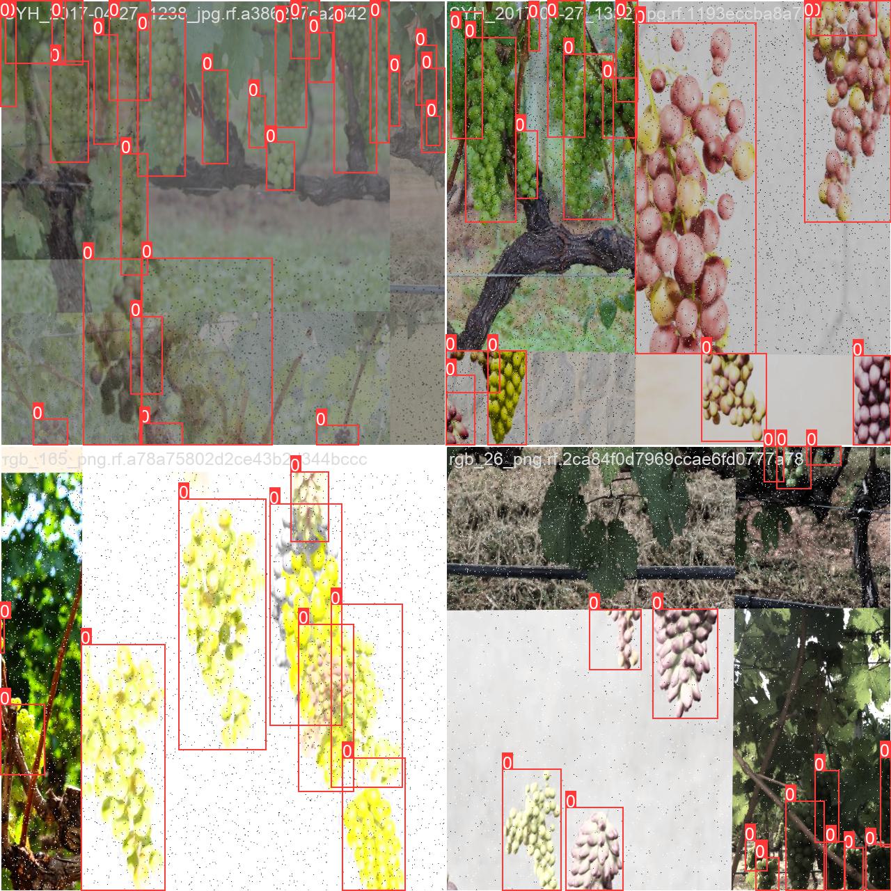 How to Use the mixed_5_light Object Detection API